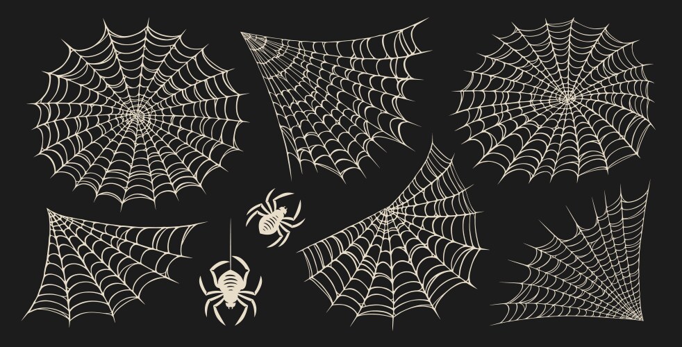 Border Spider Web Vector Images (over 2,000)