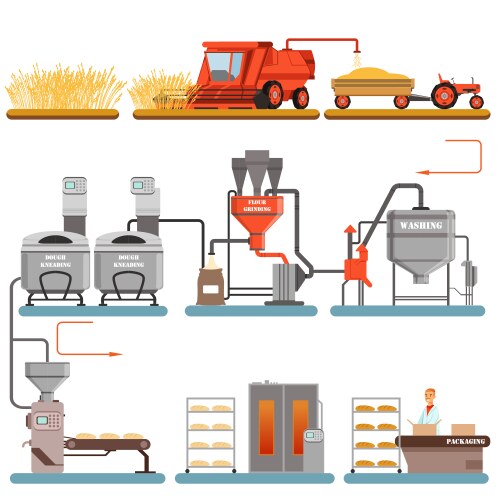 Bread making process Royalty Free Vector Image