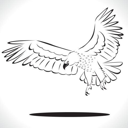 Eagle Vector Images (over 91,000)