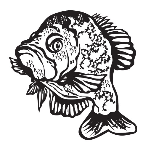 Crappie Vector Images (over 250)
