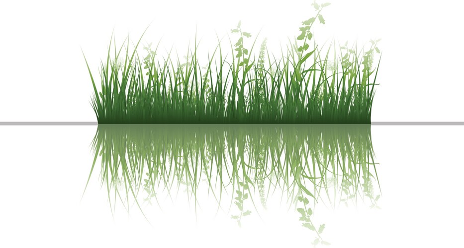 Grass on water Royalty Free Vector Image - VectorStock