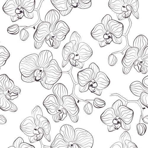 Seamless Flower Pattern Royalty Free Vector Image