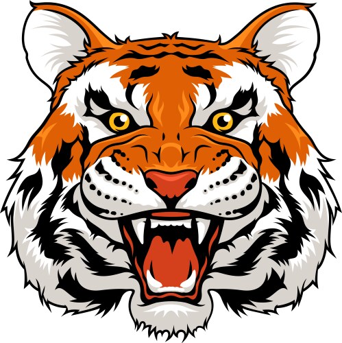 Angry tiger face Royalty Free Vector Image - VectorStock
