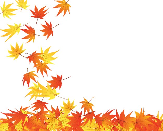 Fallen leaves Royalty Free Vector Image - VectorStock