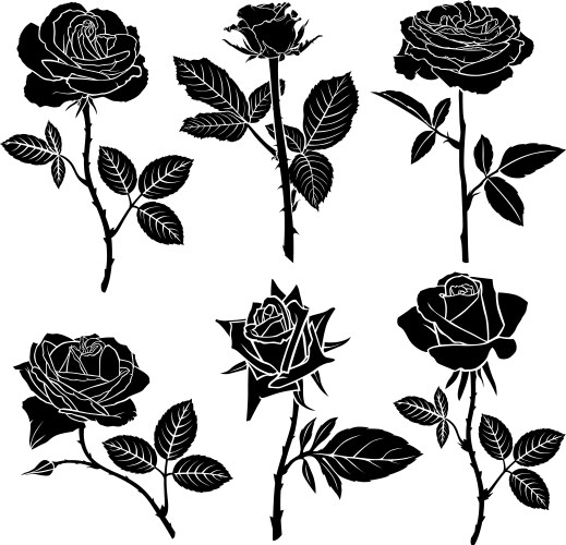 Roses Vector Images (over 330,000)