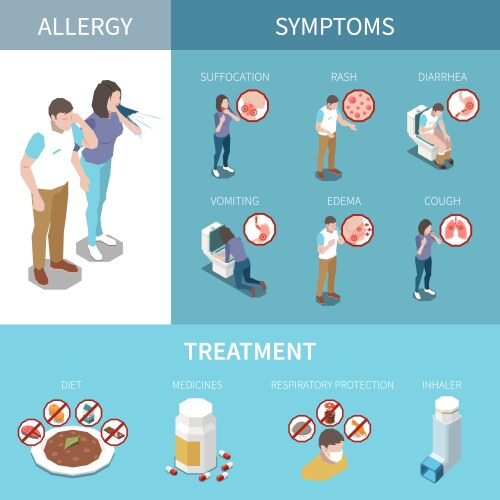 Allergy infographic with symptoms treatment Vector Image