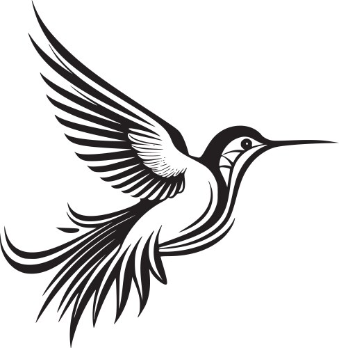 Hummingbird Outline Vector Images (over 2,200)