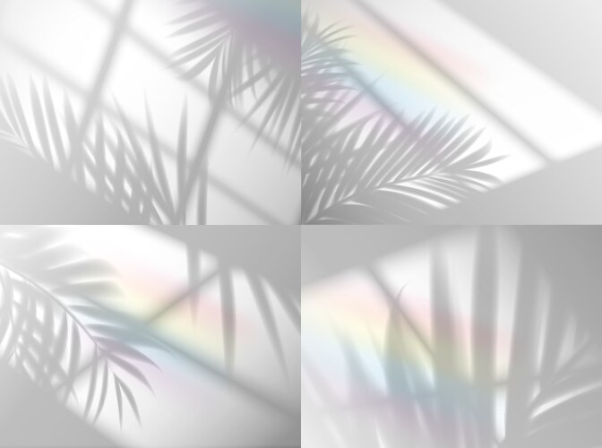 Palm Shadow Vector Images (over 8,100)