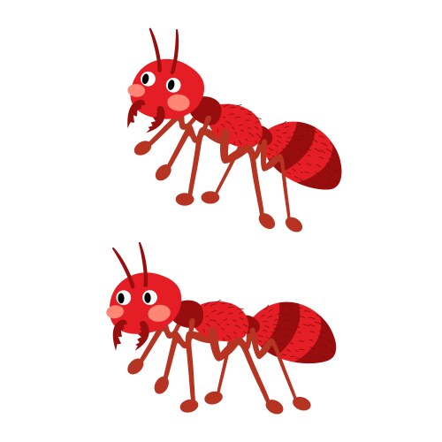 Fire Ant Ants Vector Images (over 190)