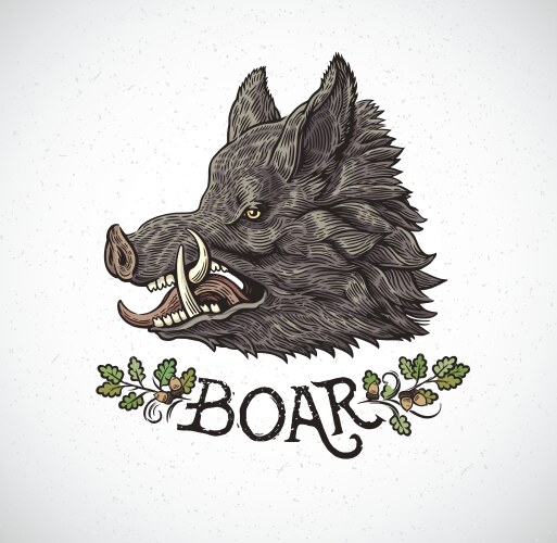 Boar Vector Images (over 11,000)