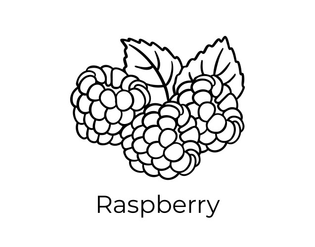 Raspberry Clipart Vector Images (over 650)