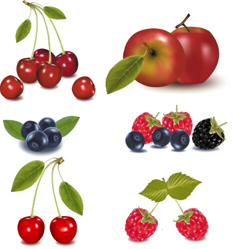 Berries and leaves set Royalty Free Vector Image