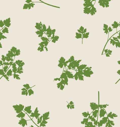 Seamless pattern design with parsley leaves Vector Image