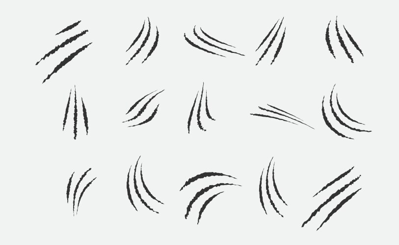 Claws scratches animal monster mark design Vector Image
