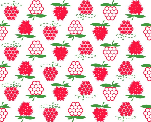 Raspberry seamless pattern Royalty Free Vector Image