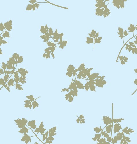 Parsley leaves Royalty Free Vector Image - VectorStock