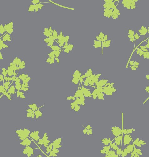 Seamless pattern design with parsley leaves Vector Image