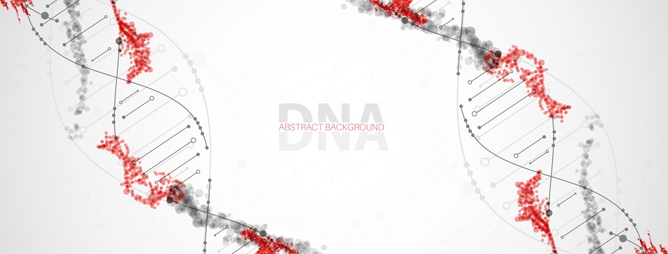 Science template wallpaper or banner with a dna Vector Image