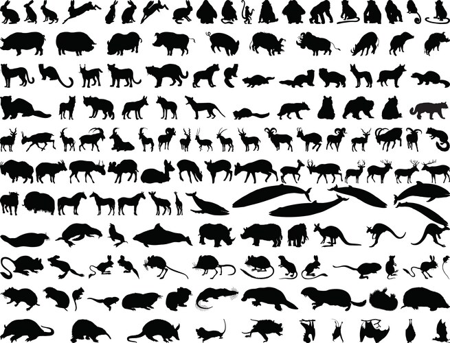 Animal silhouettes Royalty Free Vector Image - VectorStock