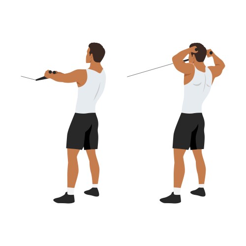 Man doing standing rope face pull cable Royalty Free Vector