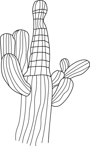 Cactus line art hand-drawn Royalty Free Vector Image