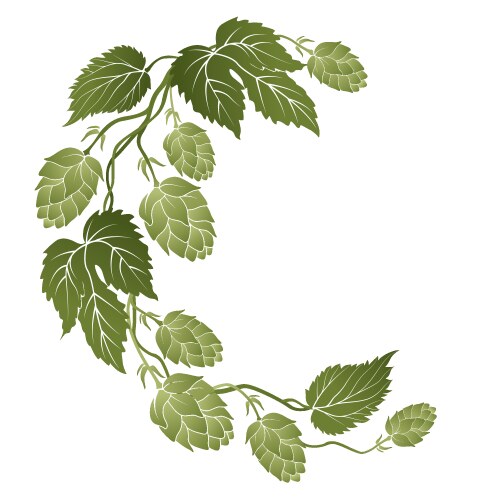 Hops Vector Images (over 52,000)