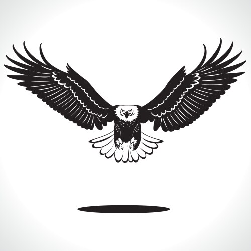 Eagle Vector Images (over 89,000)