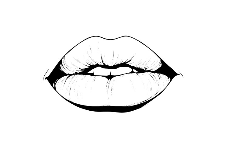 Lips ink sketch collage element engraved style Vector Image