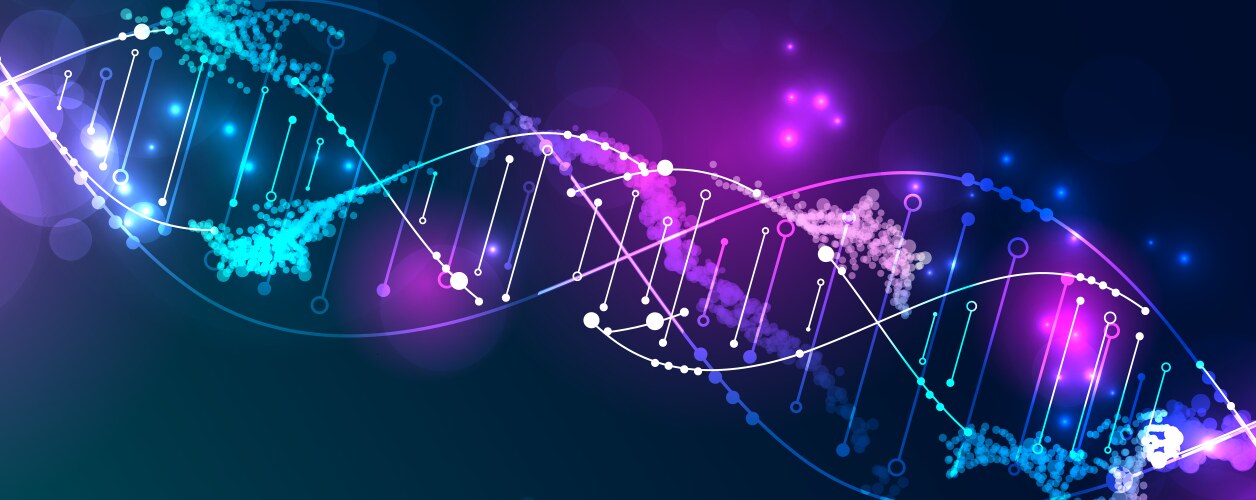 Science template wallpaper or banner with a dna Vector Image