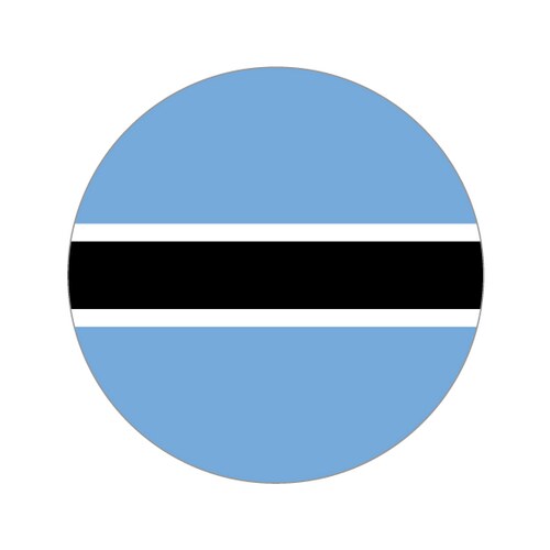 Simple round flag Royalty Free Vector Image - VectorStock