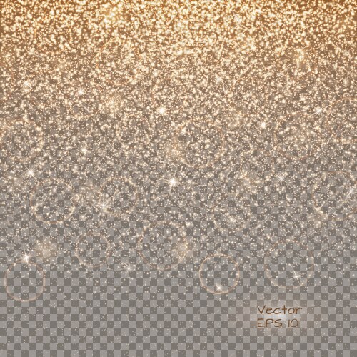 Golden rays on a transparent background Royalty Free Vector