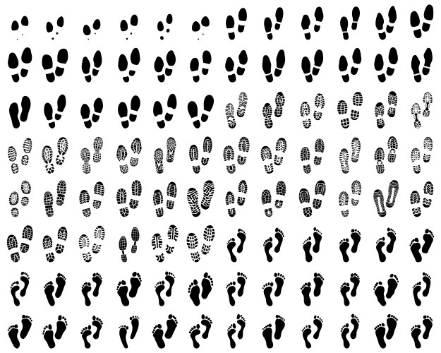 Human feet Royalty Free Vector Image - VectorStock