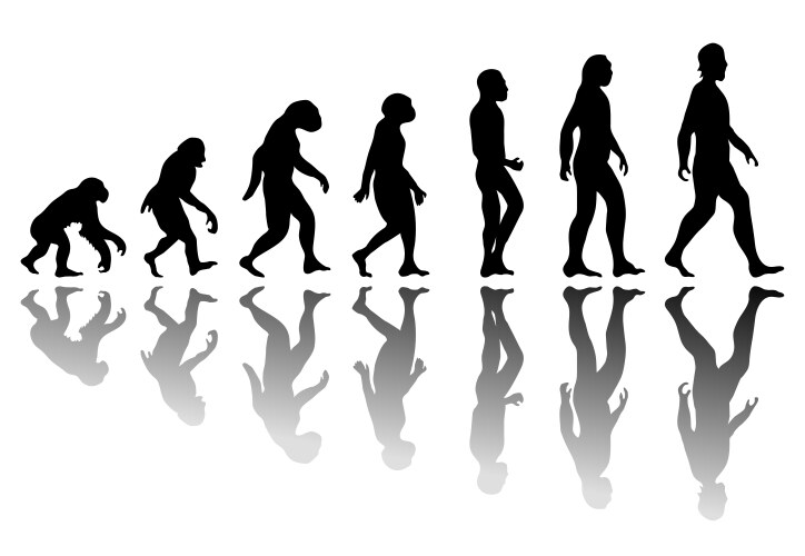 Evolution Symbol Vector Images (over 22,000)