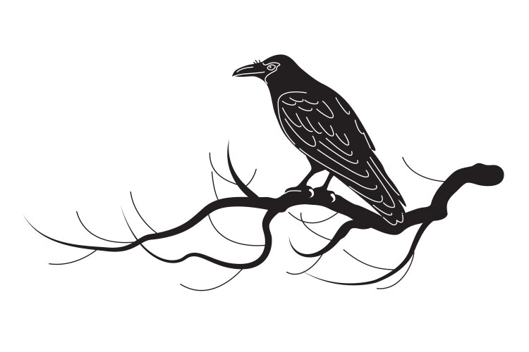Raven on a branch Royalty Free Vector Image - VectorStock