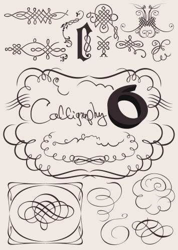 Calligraphic decorative elements Royalty Free Vector Image