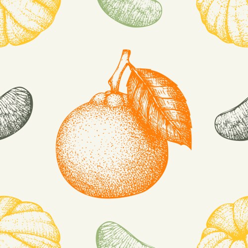 Tangerine Background Vector Images (over 8,300)