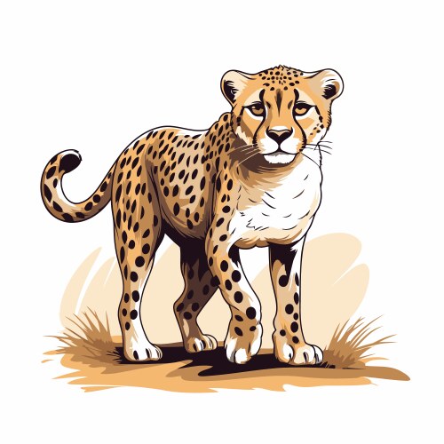 Cheetah Royalty Free Vector Image - VectorStock