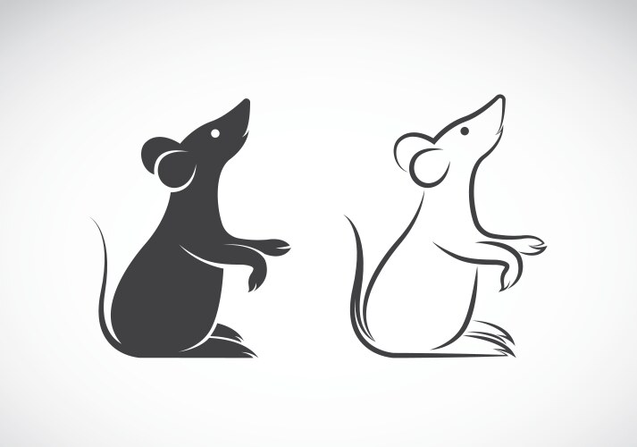 Rat Outline Vector Images (over 5,800)