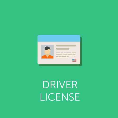 Driver license with photo identification or id Vector Image