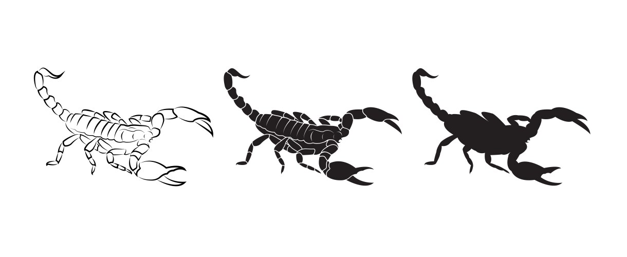 Scorpion outline Vector Images & Graphics for Commercial Use | VectorStock