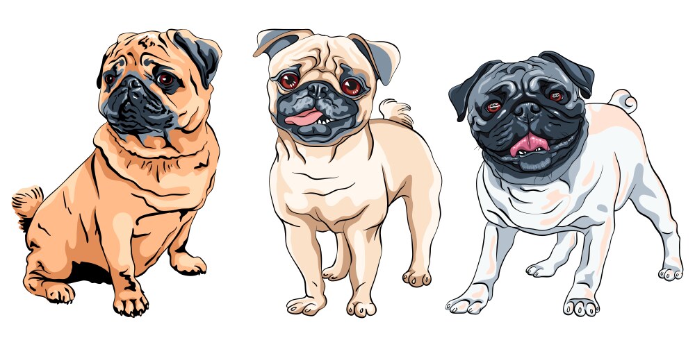 Pug Vector Images (over 10,000)