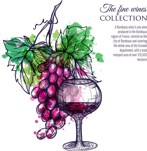 Wine and vineyard Royalty Free Vector Image - VectorStock