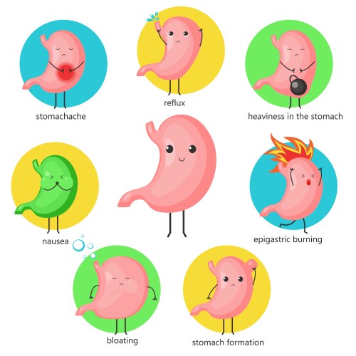 Enzyme Cartoon Vector Images (over 210)