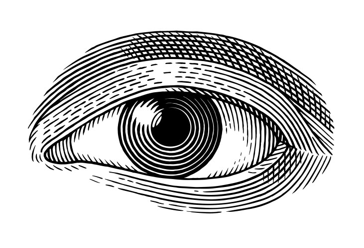 Detailed human eye engraving Royalty Free Vector Image