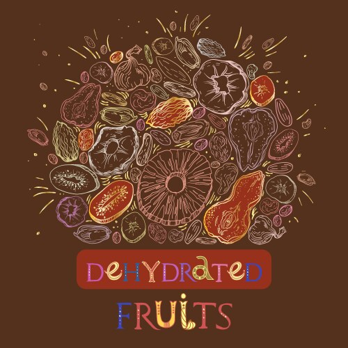 Dehydrated fruit set Royalty Free Vector Image