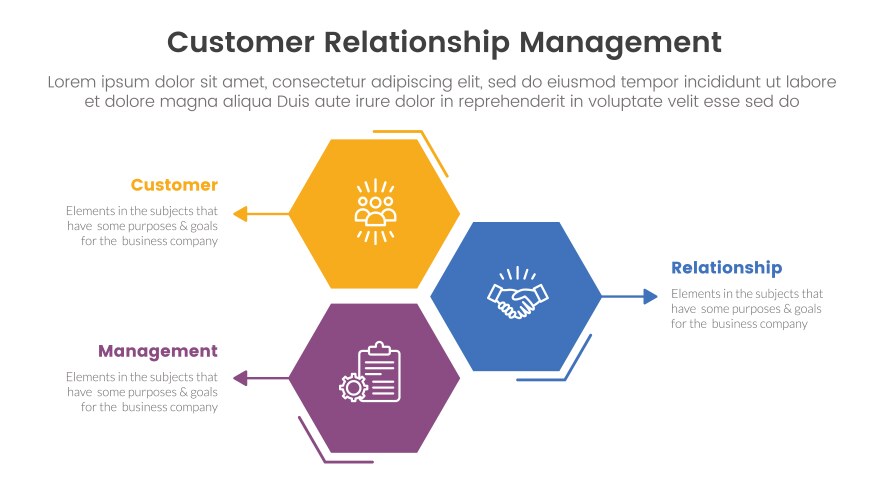 Crm customer relationship management infographic Vector Image