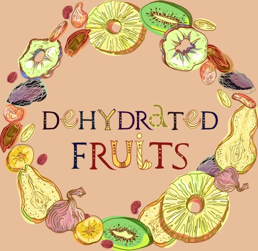 Dehydrated fruit set Royalty Free Vector Image