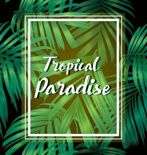 Tropical leaf frame Royalty Free Vector Image - VectorStock