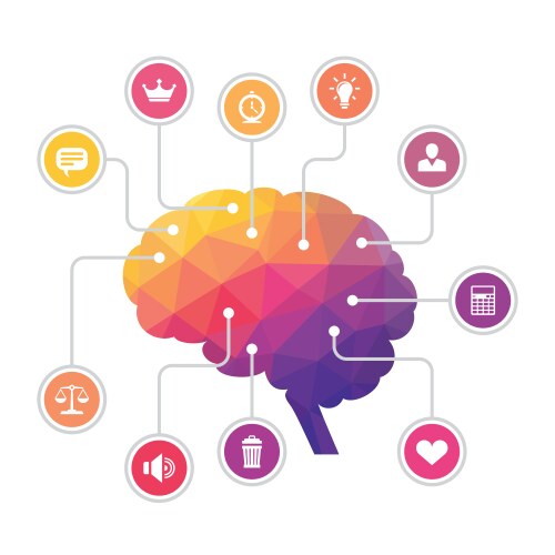 Brain Vector Images (over 260,000)