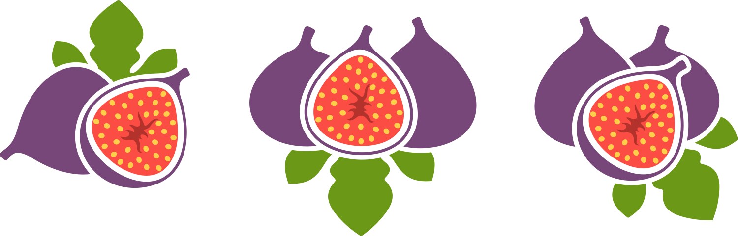 Fig Royalty Free Vector Image - VectorStock